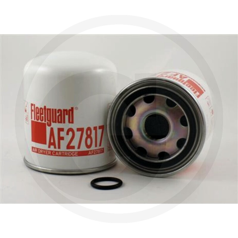 Fleetguard Filtru de aer secundar, AF27817